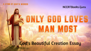God's Beautiful Creation Essay for Students & Children in 400 Words