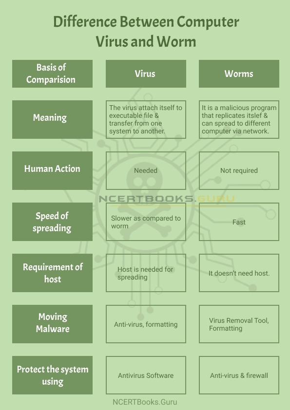 Difference Between Computer Virus and Worm - NCERT Books Difference Between Computer Virus and Worm - NCERT Books