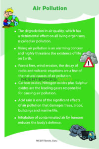 10 Lines on Air Pollution for Students and Children in English - NCERT ...
