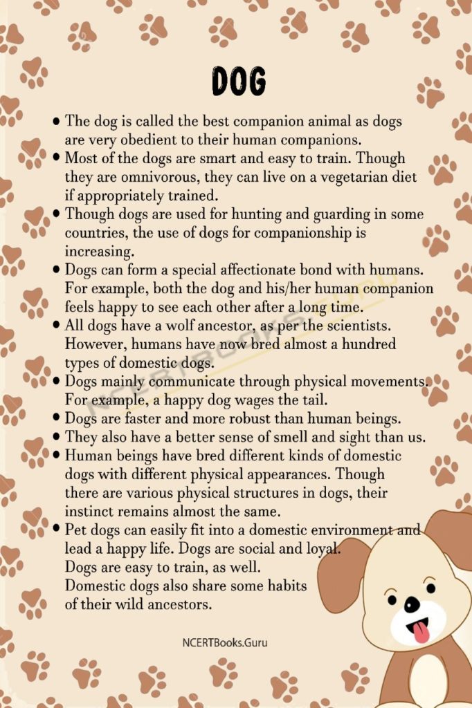 10 Lines on Dog for Students and Children in English - NCERT Books