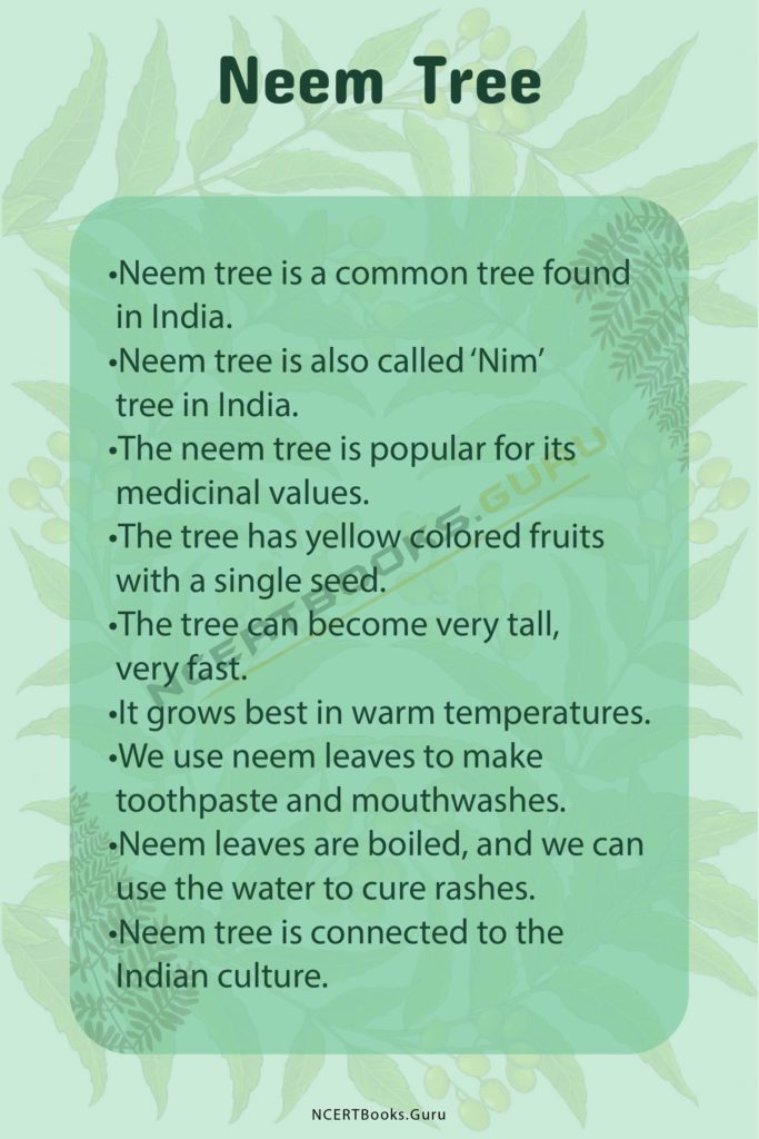 10 Lines on Neem Tree for Students and Children in English - NCERT Books