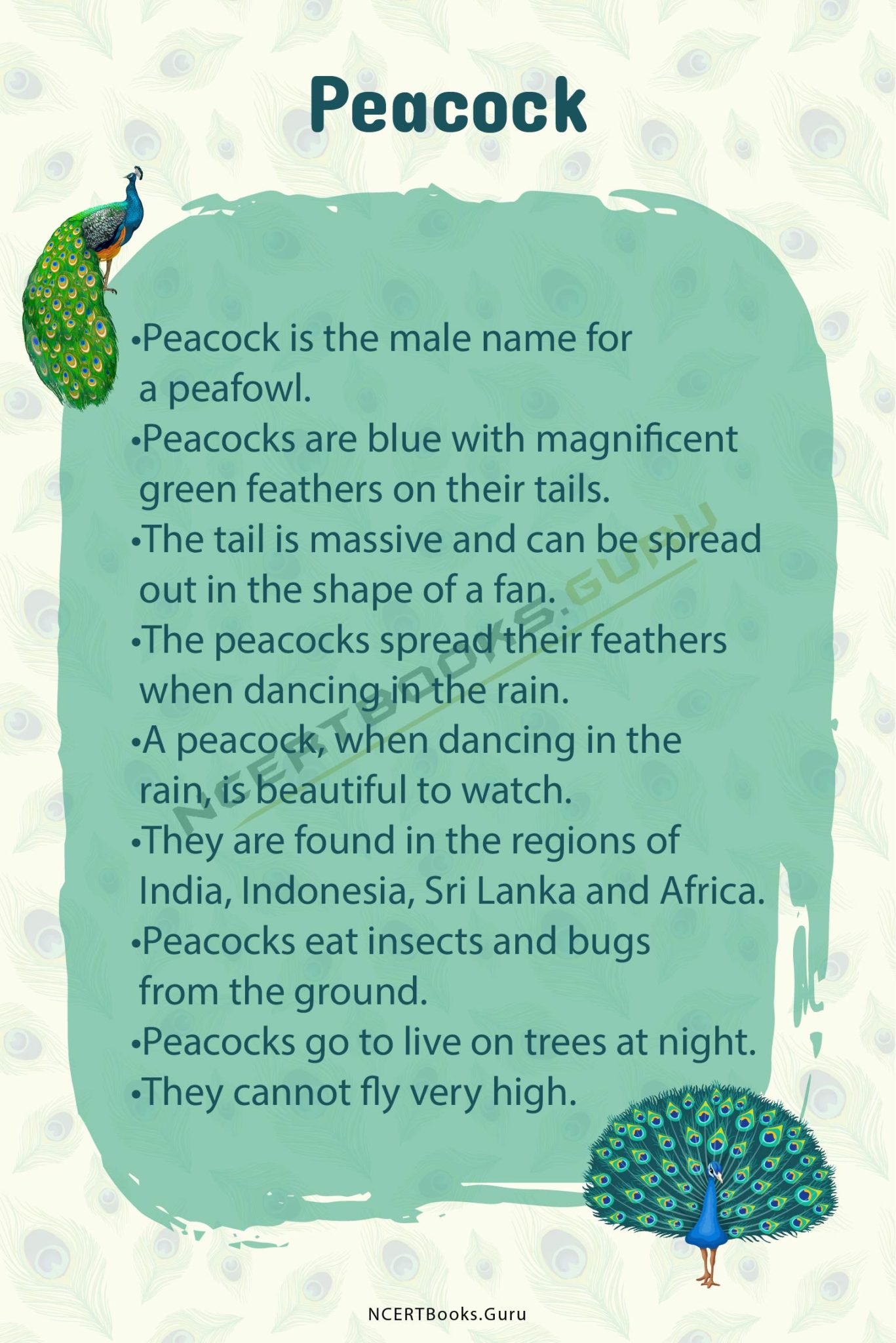 10 Lines on Peacock for Students and Children in English - NCERT Books