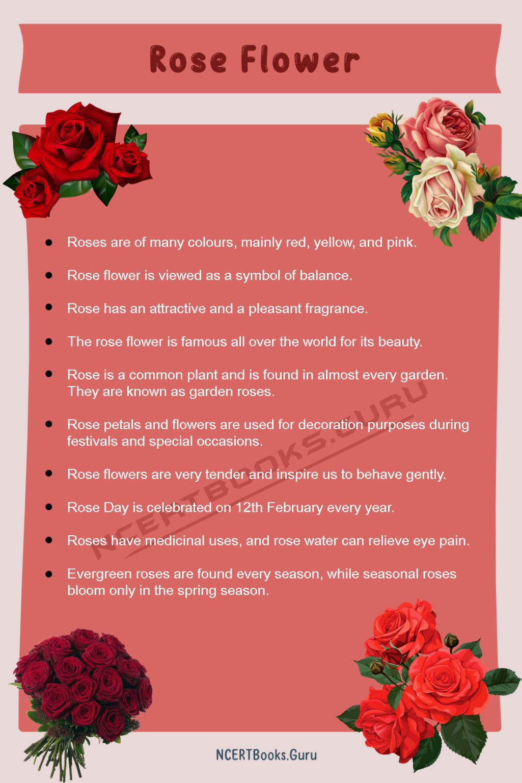 10 Lines on Rose Flower for Students and Children in English - NCERT Books
