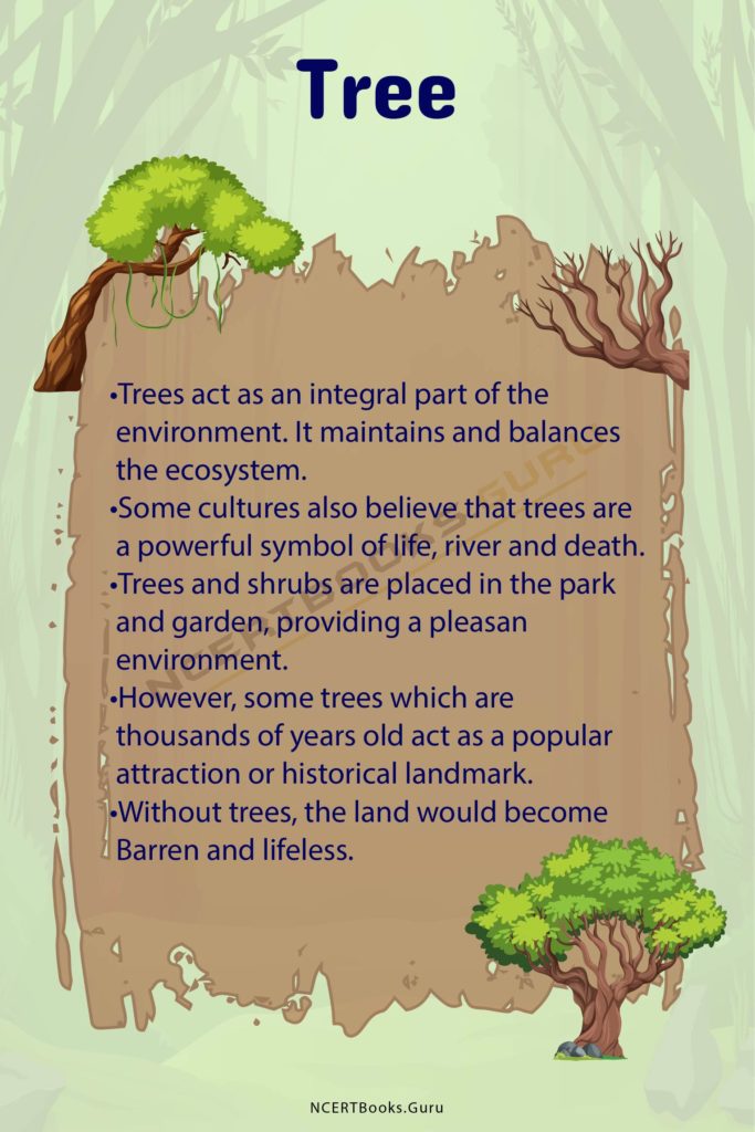 10 Lines on Tree for Students and Children in English - NCERT Books