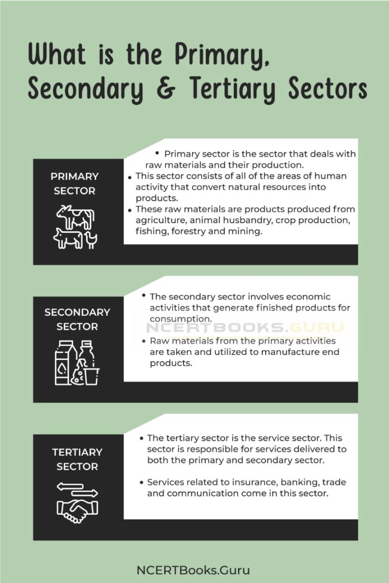 Difference between Primary, Secondary and Tertiary Sectors & Their ... Difference between Primary, Secondary and Tertiary Sectors & Their ...
