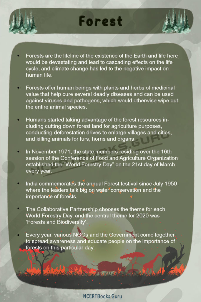 10 Lines about Forest for Students and Children in English - NCERT Books