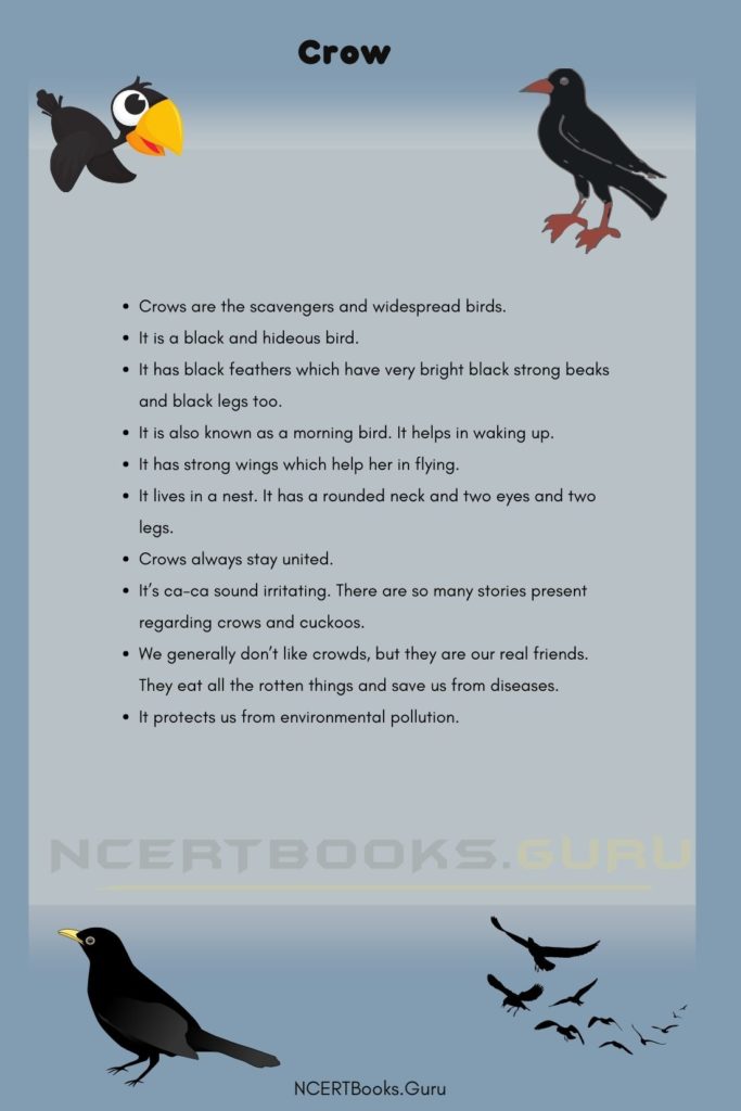 10 Lines on Crow for Students and Children in English - NCERT Books