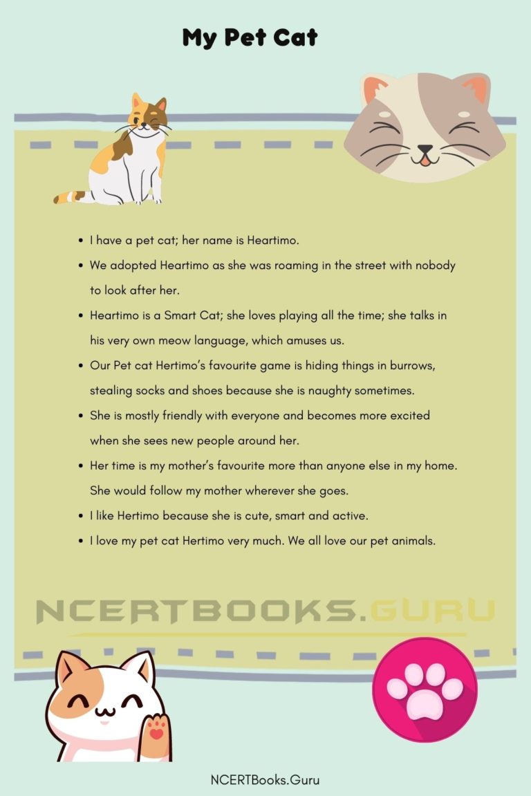 10 Lines on My Pet Cat for Students and Children in English - NCERT Books