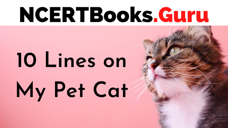 10 Lines on My Pet Cat for Students and Children in English - NCERT Books
