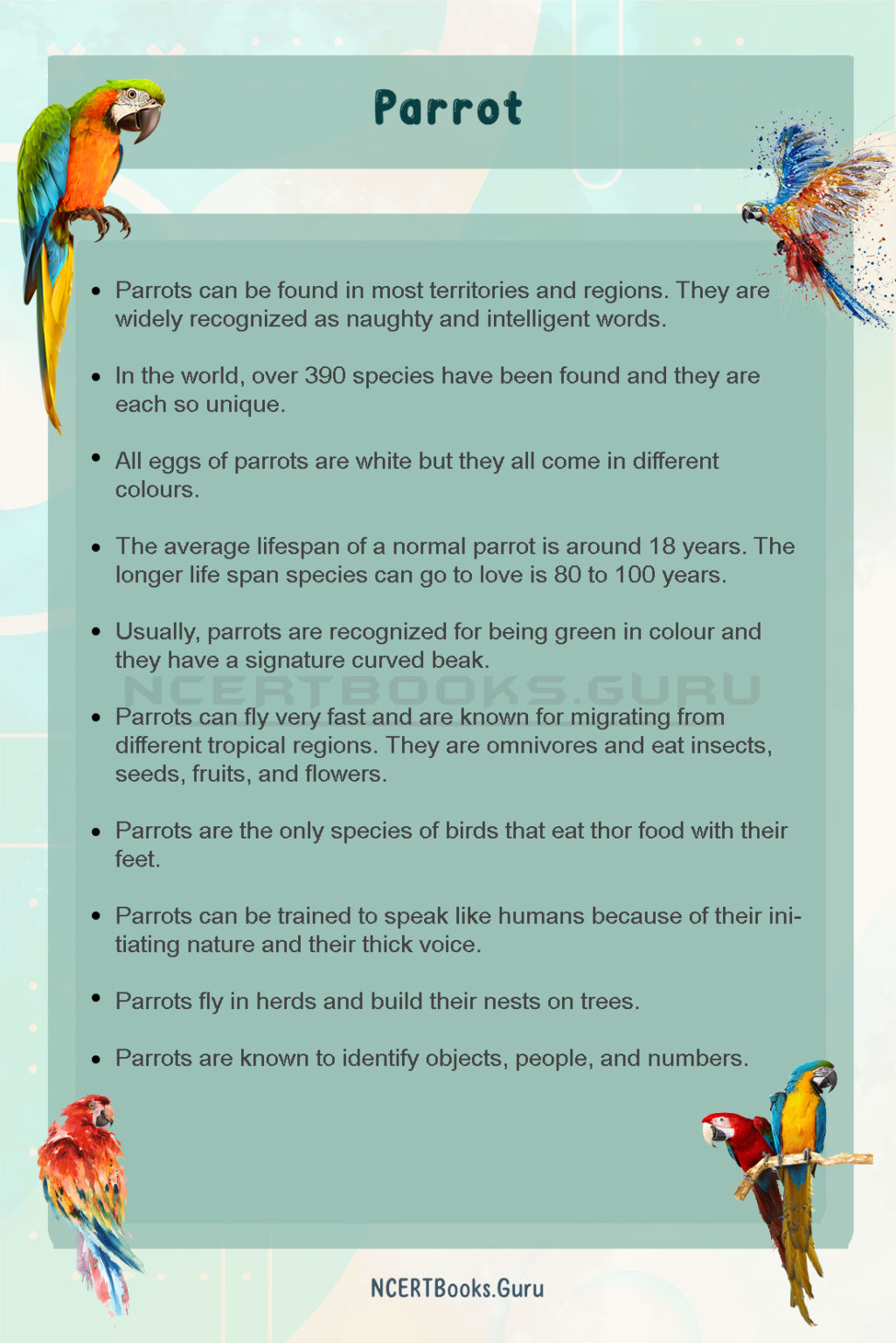 10 Lines on Parrot for Students and Children in English - NCERT Books