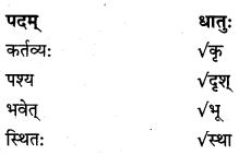 NCERT Solutions for Class 7 Sanskrit Chapter 1 सुभाषितानि - NCERT Books