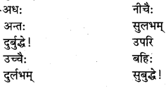 NCERT Solutions for Class 7 Sanskrit Chapter 4 हास्यबालकविसम्मेलनम् ...